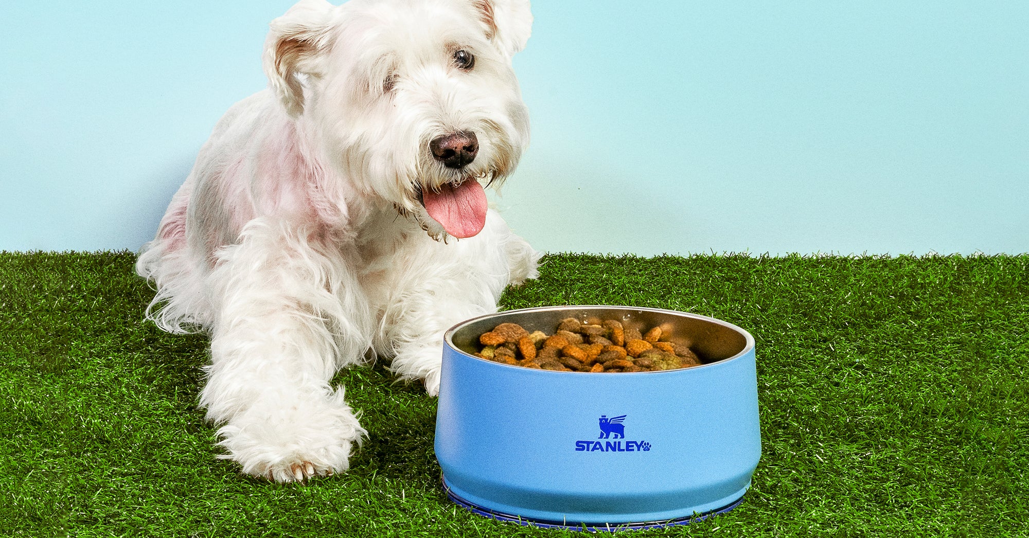 Stanley Pet Bowl: a linha exclusiva de bebedouro e comedouro para pets ...